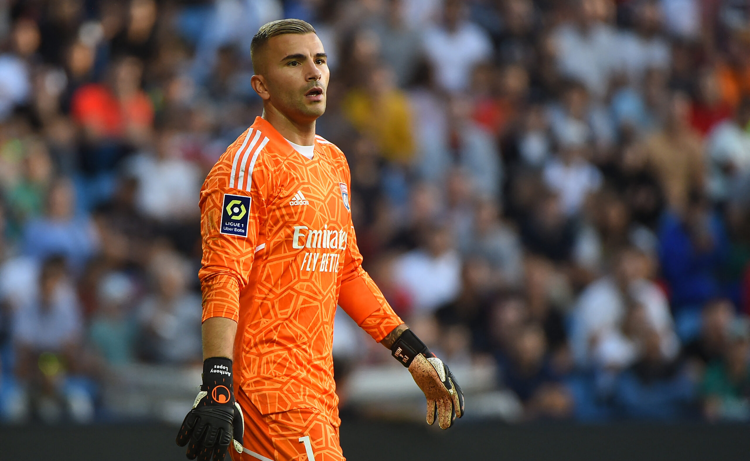 OL - Mercato : Rémy Descamps pour remplacer Anthony Lopes
